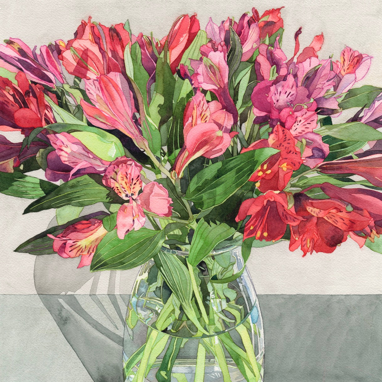 ALSTROEMERIA - Fine Art Print – Amanda Nester
