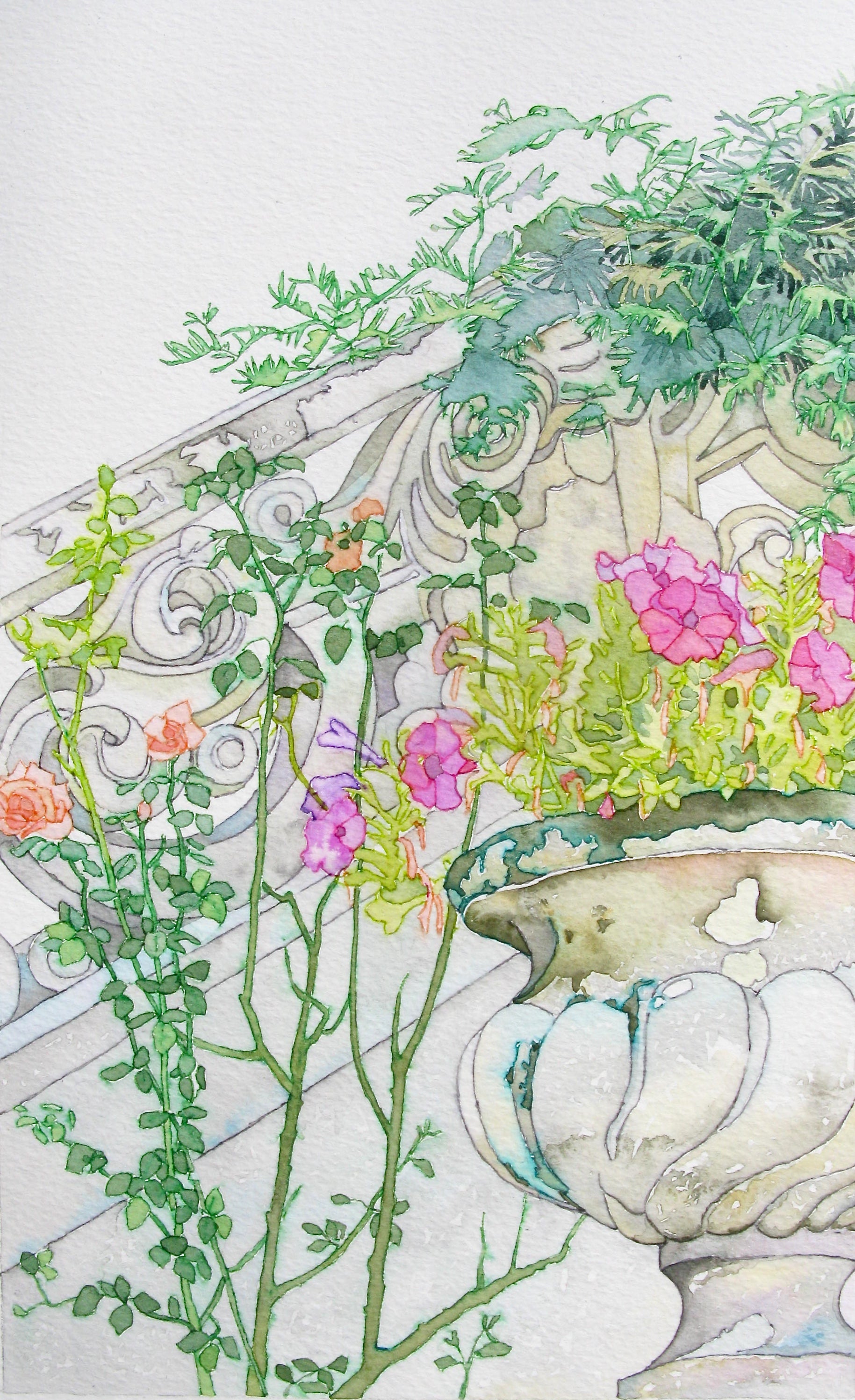 ITALIAN GARDEN - Commission an Illustration – Amanda Nester