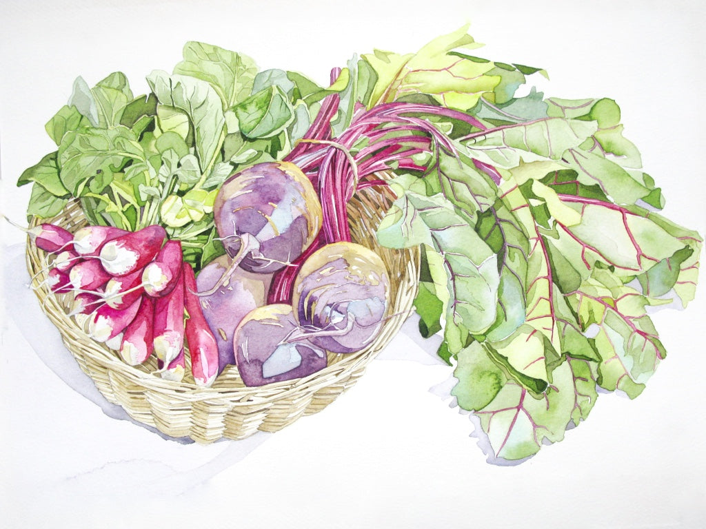 BEETROOT & RADISHES - Original Painting – Amanda Nester