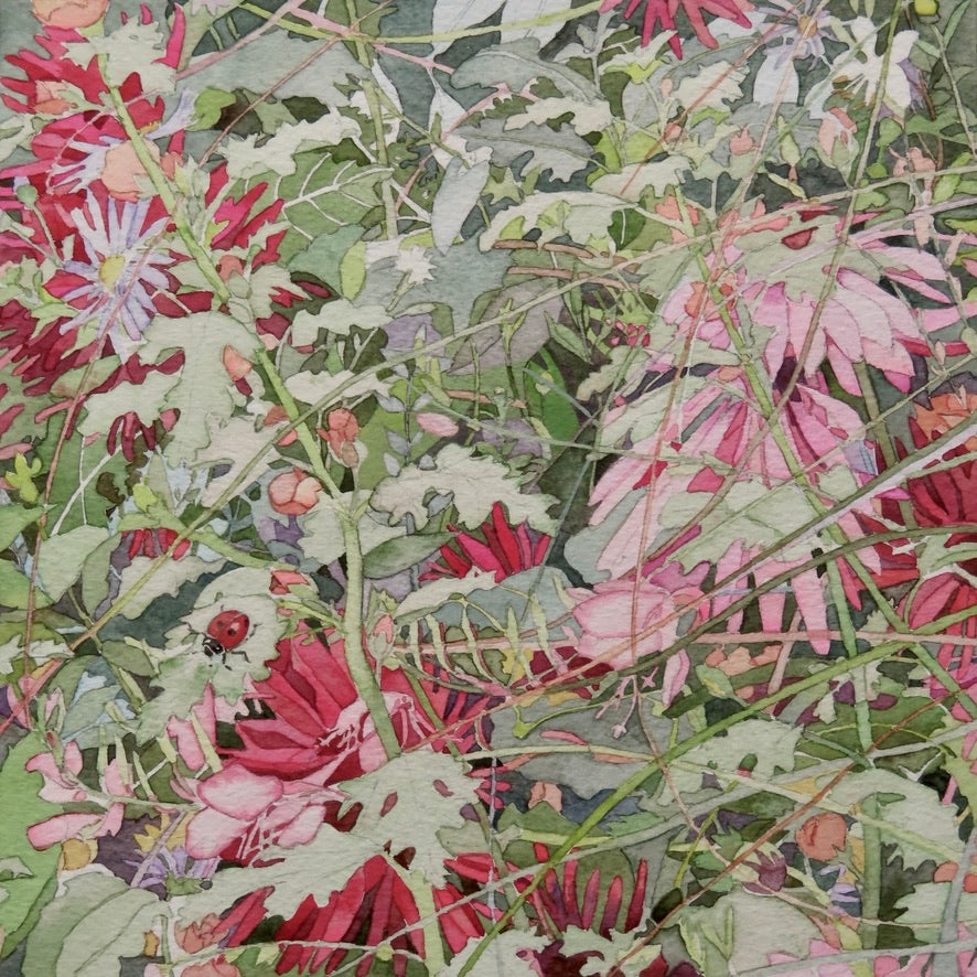 LADYBIRD - Greetings Card – Amanda Nester