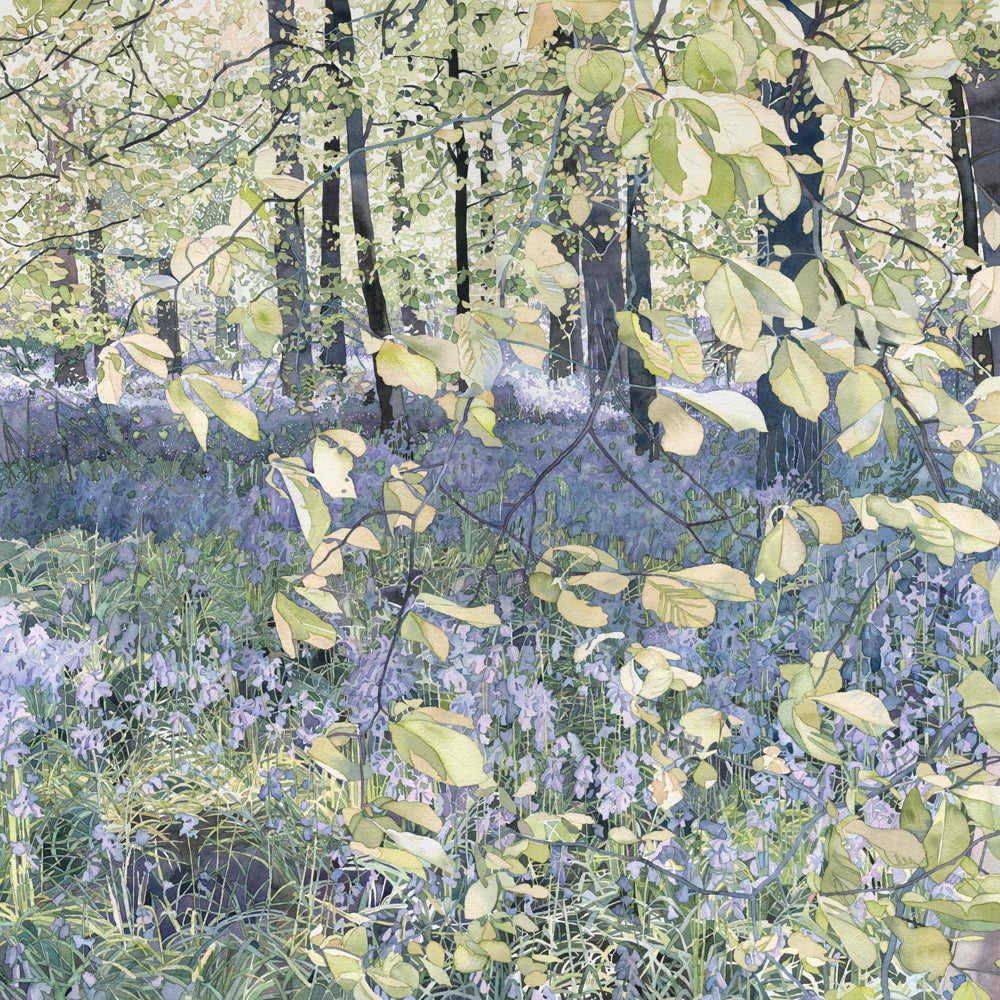 BLUEBELL WOODS, THE CHILTERNS - Original Painting – Amanda Nester